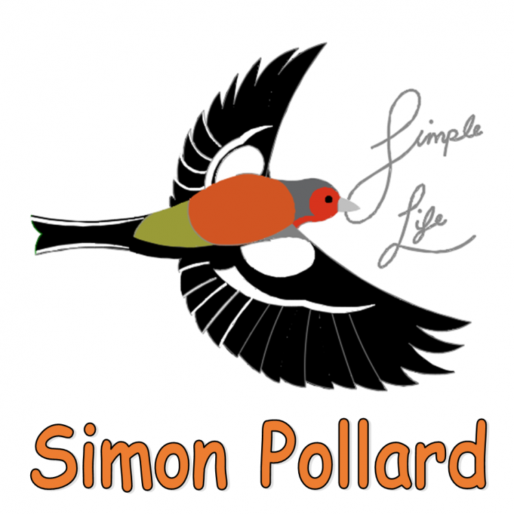 Simon Pollard - Simple Life Limited - Kent Invicta Chamber of Commerce